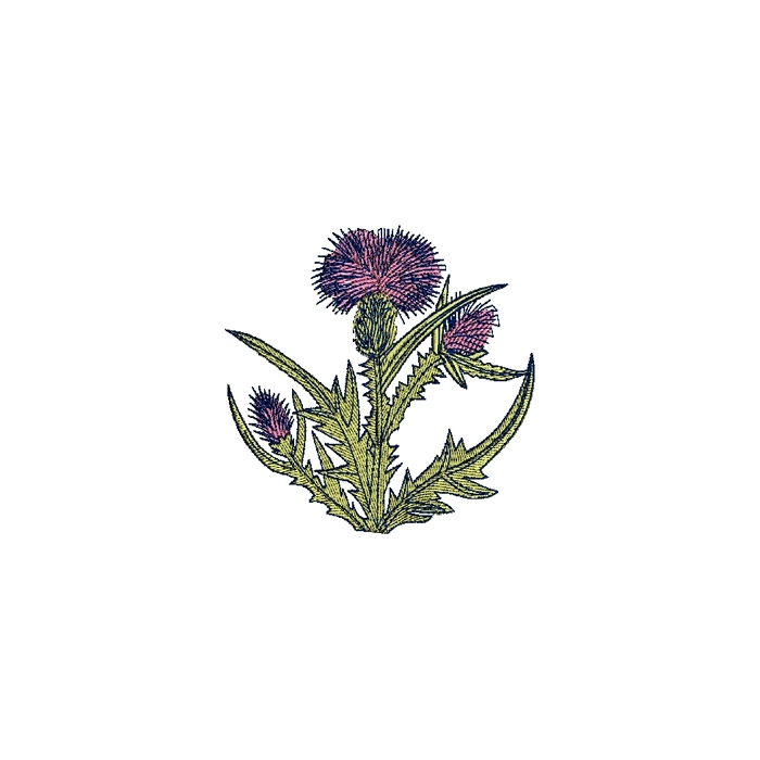 Unique Thistle embroidery design digitized with immediate download in ...